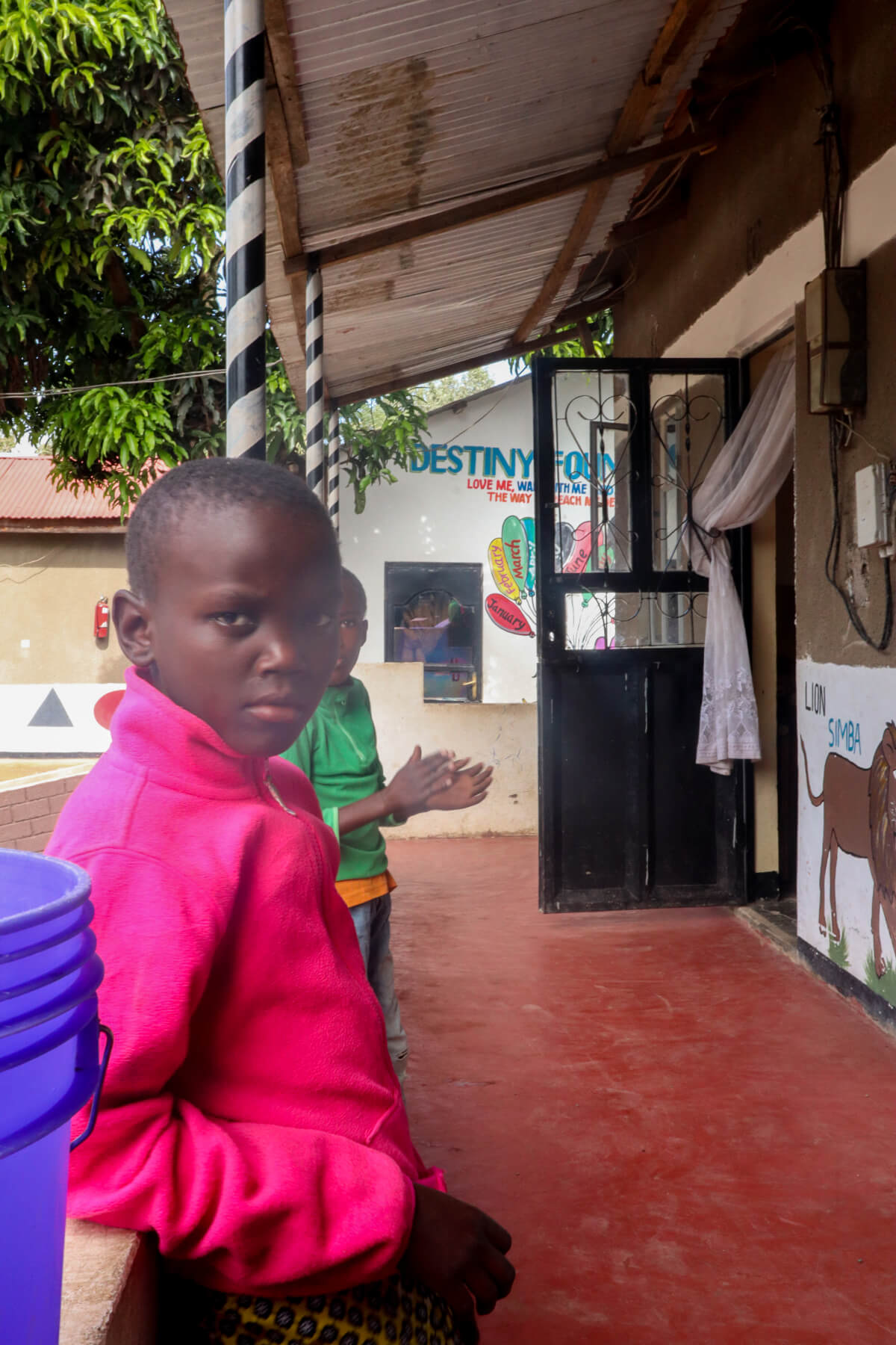 Destiny Foundation - Viva Tanzania